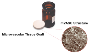 MicroVascular Tissues – Healing Vascular Deficiences